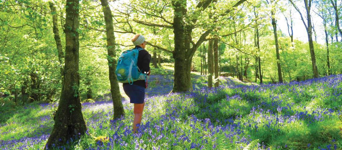 Walkers Britain | First Spring Departures For The UK’s Top Walkin