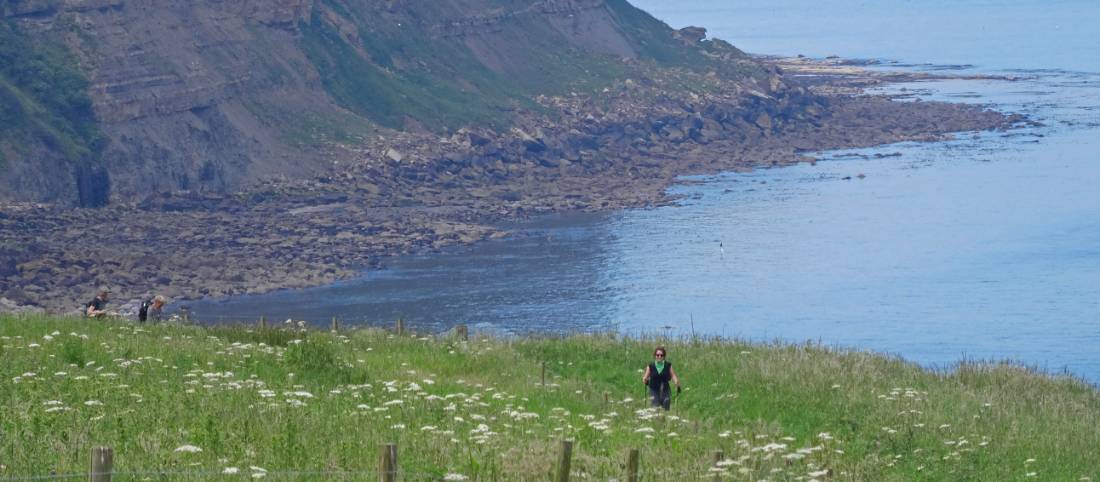 Walkers' Britain & Europe | England’s Coast to Coast Walks Cheat